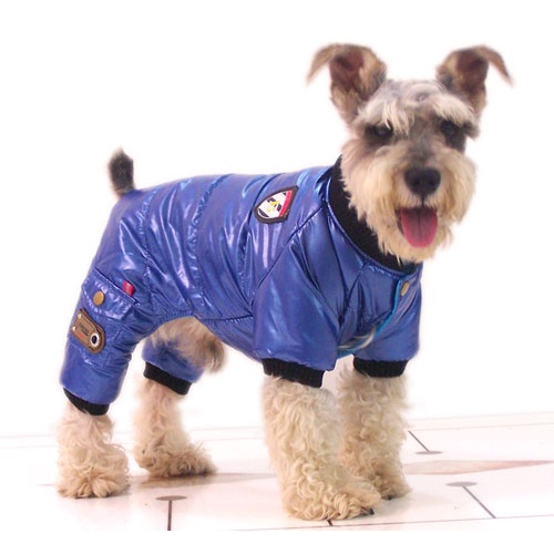 Chaqueta para perros color morado, con pantalón.